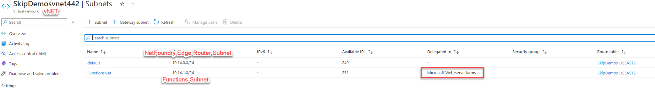 Securely Connect To Remote Private Applications From Azure Functionsapis Netfoundry